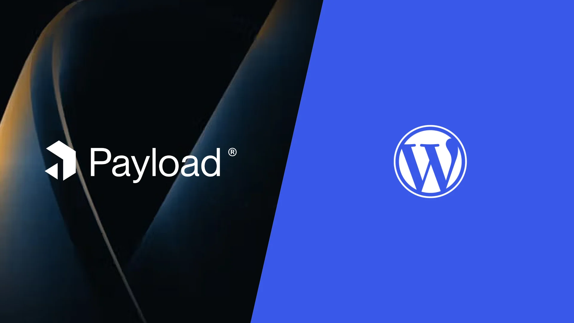 WordPress vs Payload: Which CMS should you choose for your business?